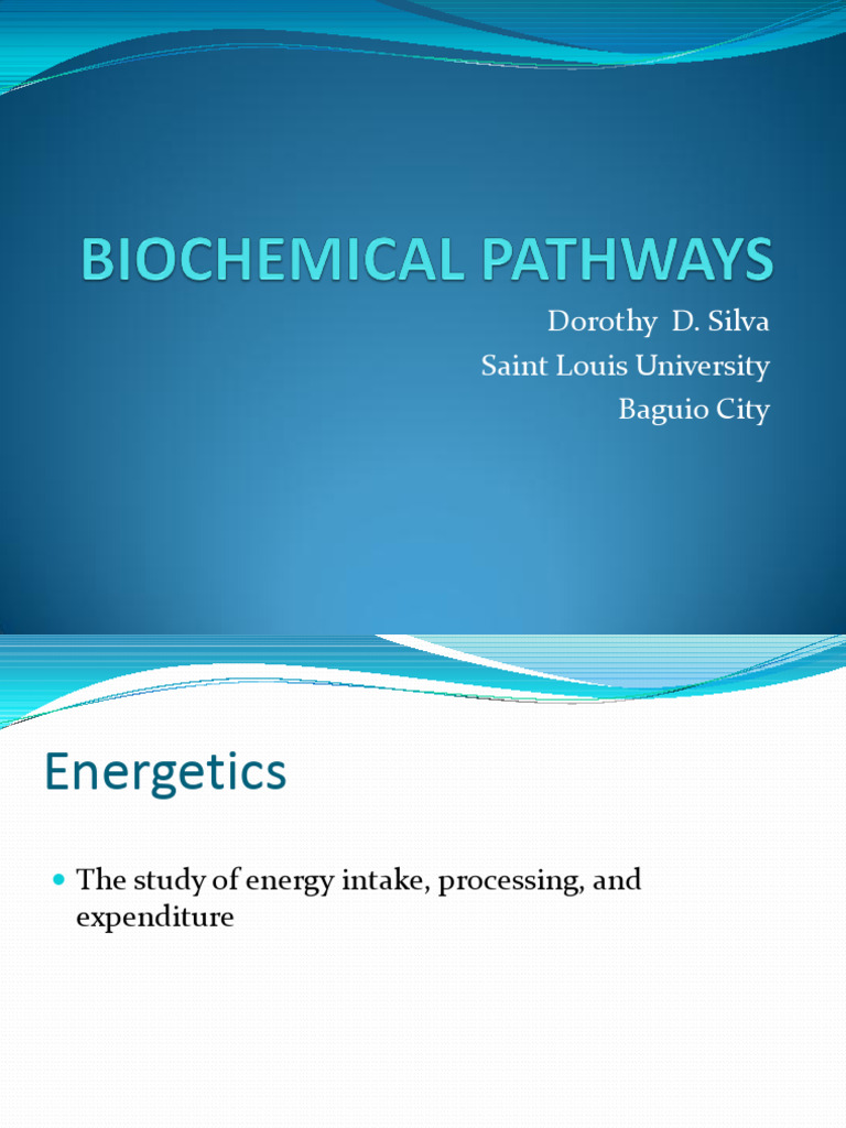 5 biochemical pathways | PDF | Adenosine Triphosphate | Adenosine ...
