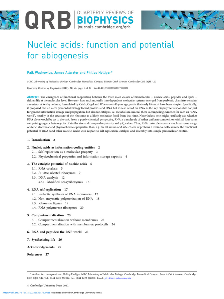 Nucleic Acids Function and Potential For Abiogenesis | PDF | Rna | Abiogenesis