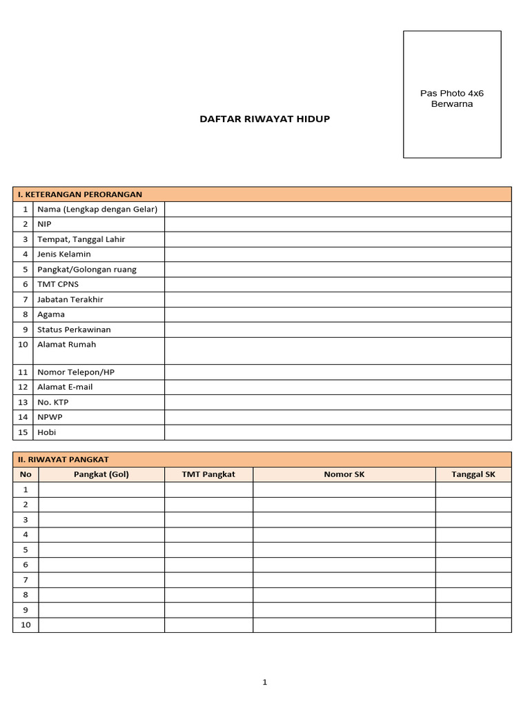 Format Daftar Riwayat Hidup PNS | PDF