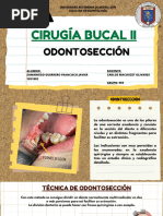 Extracción de Restos Radiculares | PDF | Boca | Odontología