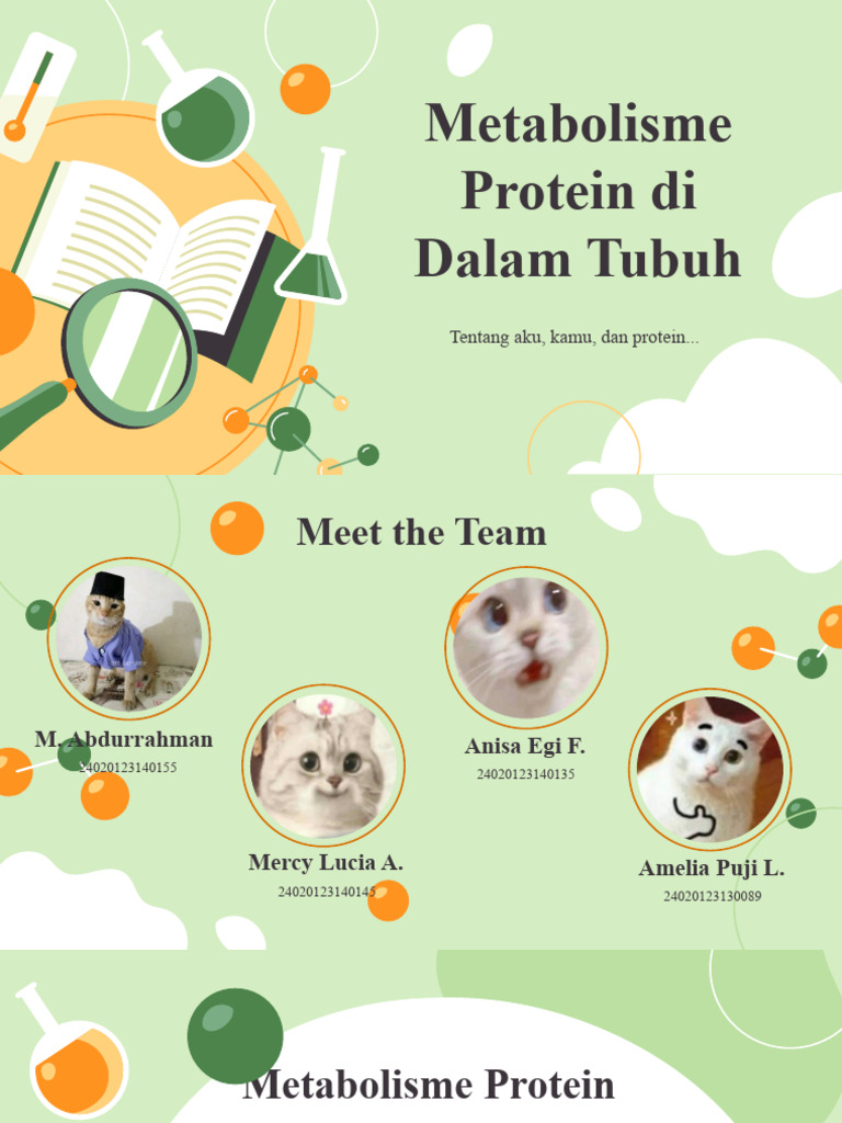 Metabolisme Protein Di Dalam Tubuh | PDF