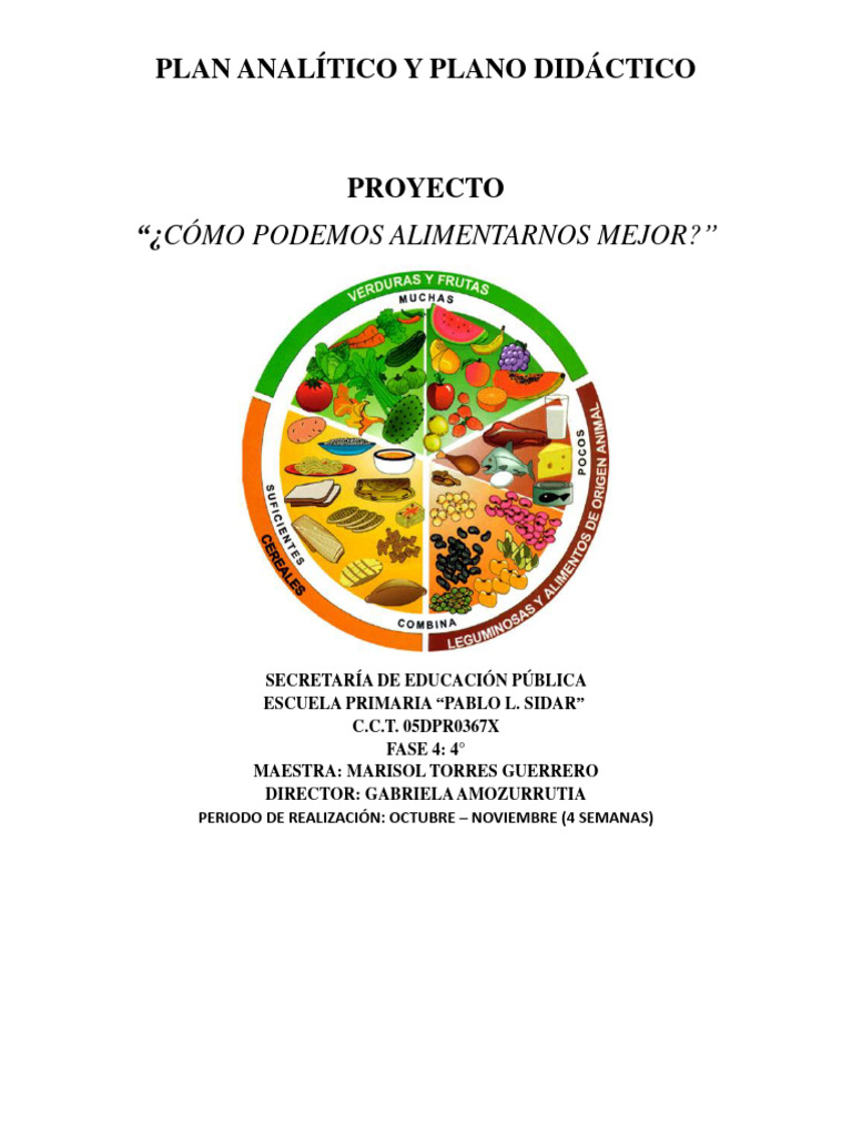 Proyecto Alimentación Saludable 4° | PDF | Alimentos | Obesidad