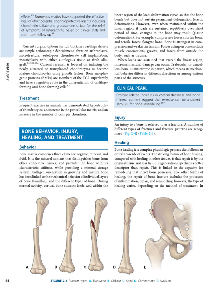 Types fo fractures Dutton 3rd 44-45 | PDF