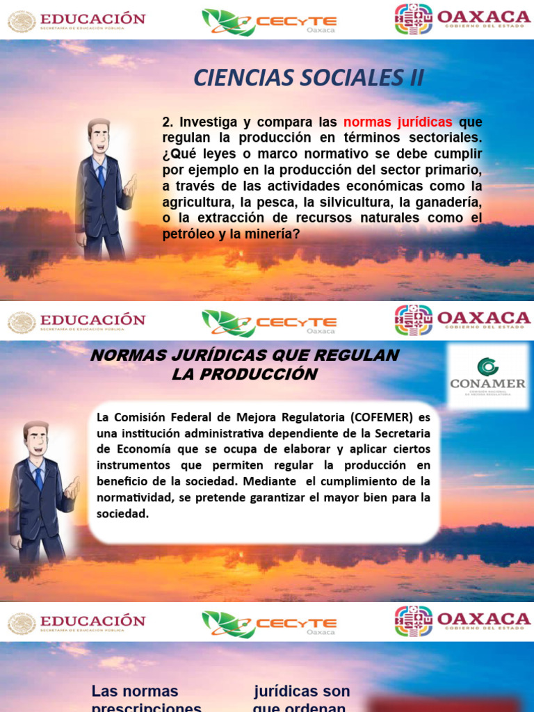 Normas Jurídicas Que Regulan La Producción en Términos Sectoriales ...