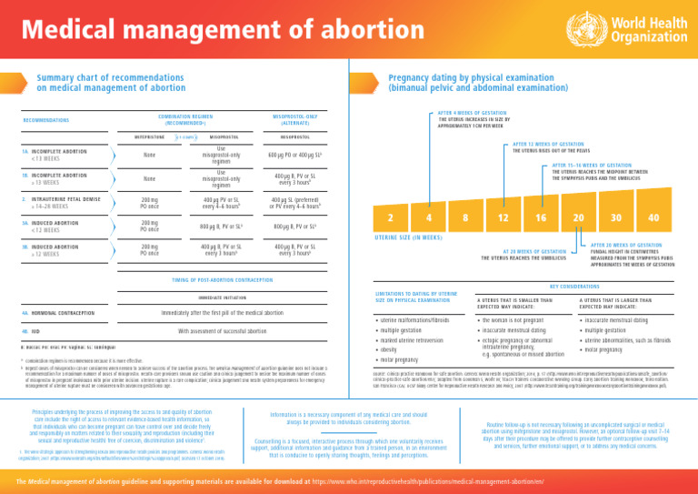 Poster Summary Chart | Download Free PDF | Abortion | Obstetrics
