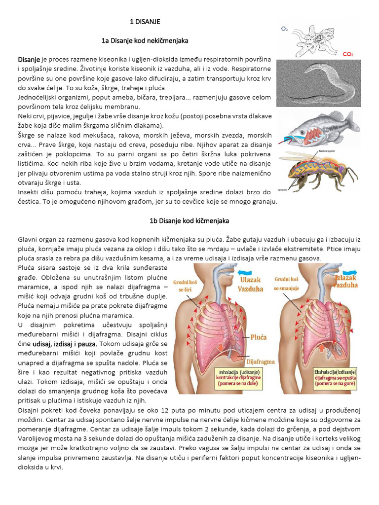 1-disanje | PDF