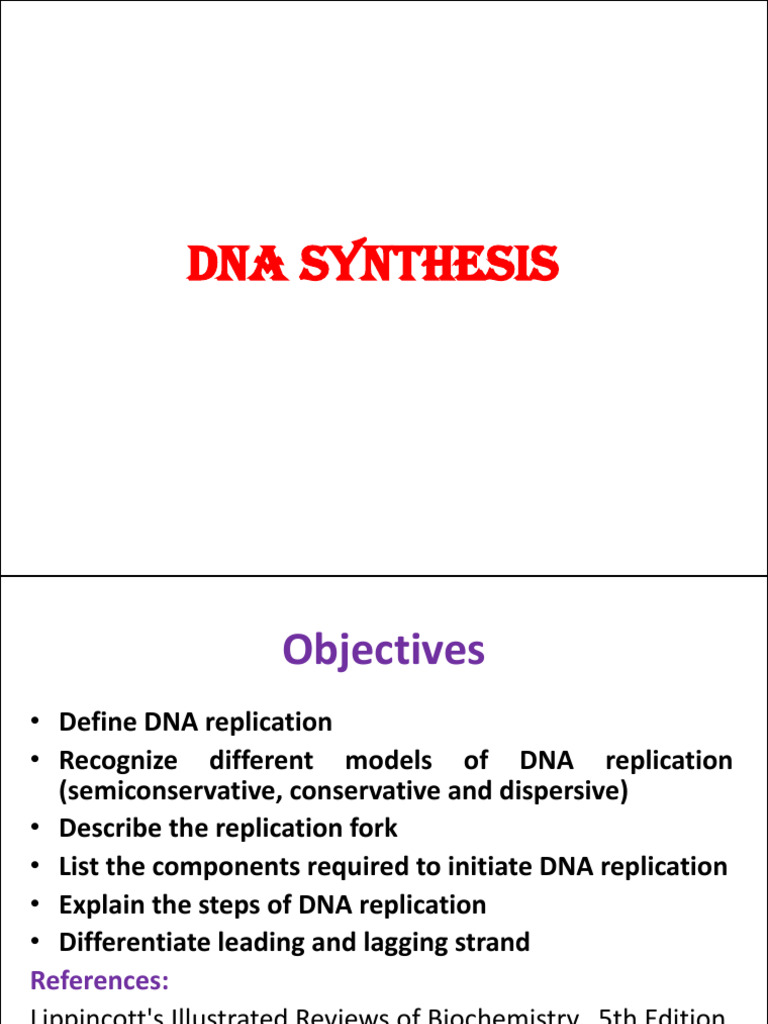 L4, 5 and 6 DNA Synthesis | PDF | Dna Replication | Dna