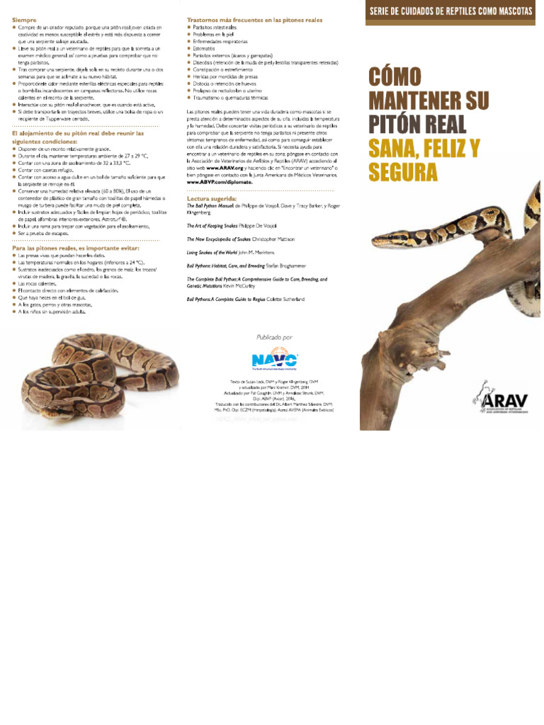 Ball Python Spanish ARAV | PDF