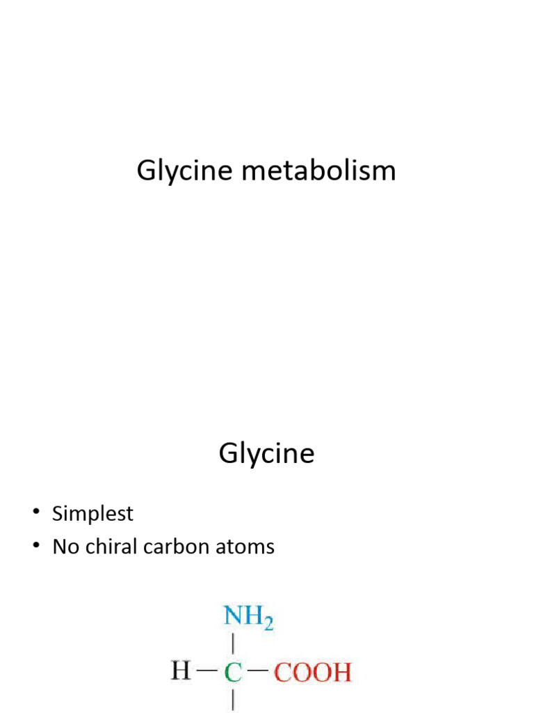 Glycine | PDF | Glycine | Biosynthesis