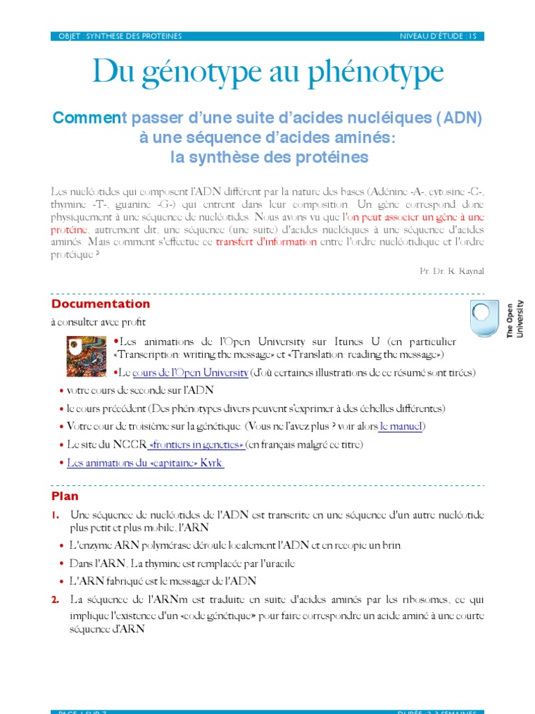 Synthese Proteines 1S | PDF