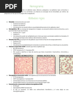 Reporte de Extendido de Sangre Periférica | PDF | Plaqueta | Leucocito