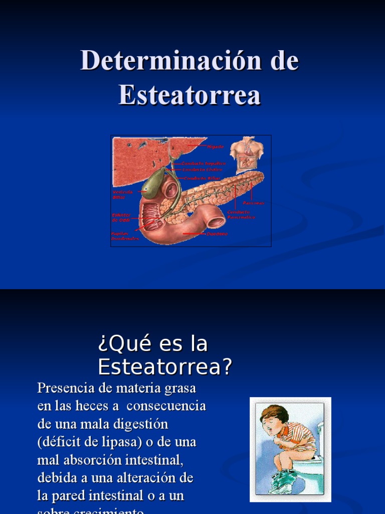 Determinación de Esteatorrea | Heces | Bilis