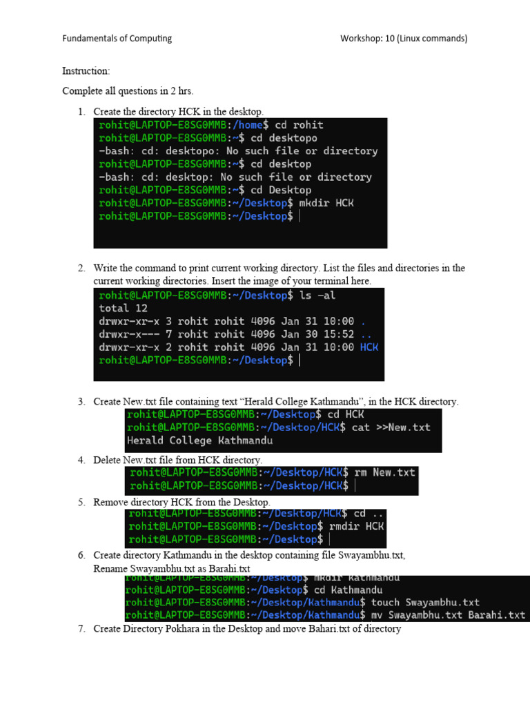 Rohit Khadka Workshop 10 | PDF