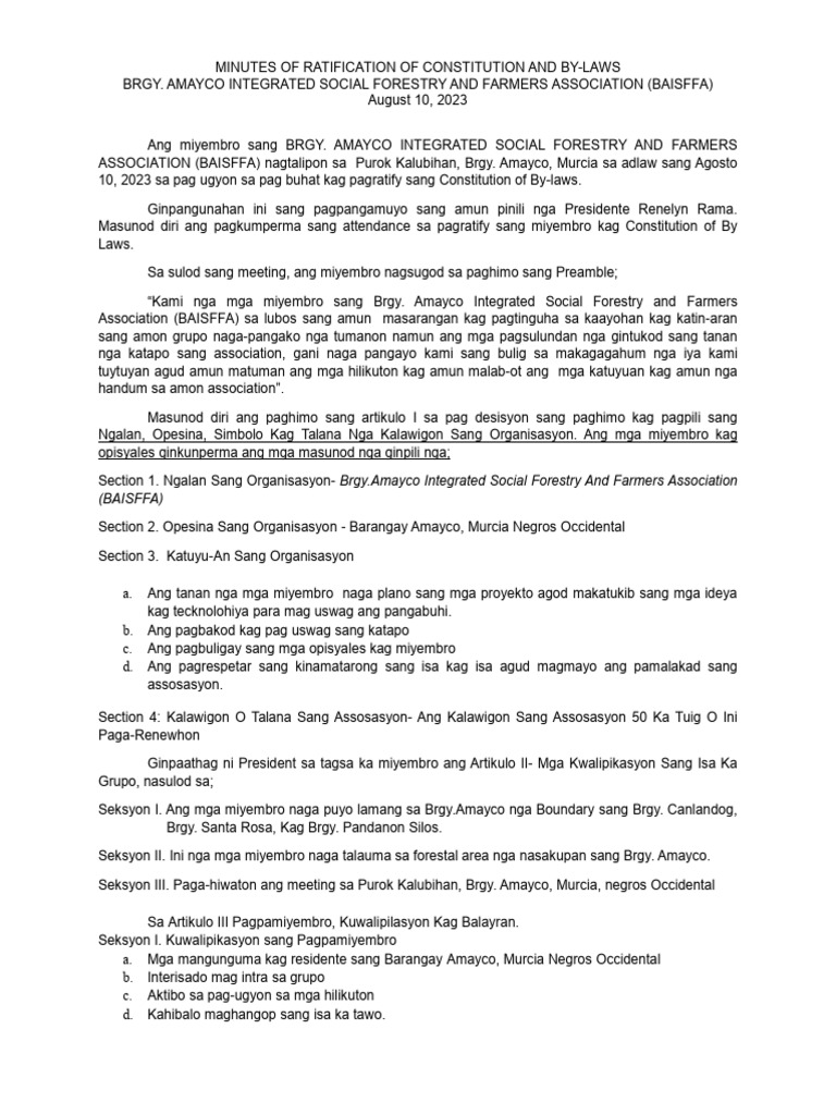 Minutes of Ratification of Constitution and by Laws | PDF