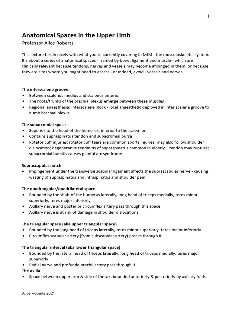 Anatomical Spaces of Upper Limb | PDF | Shoulder | Musculoskeletal System