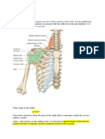 Triangular Space - Borders - Contents - TeachMeAnatomy | PDF