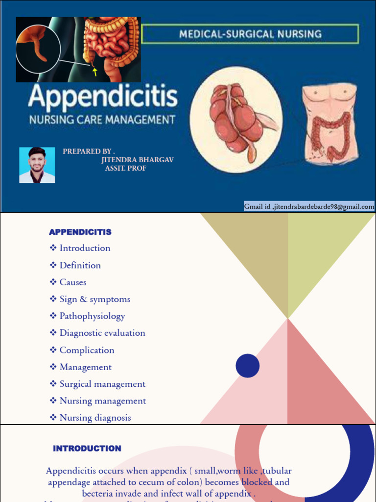 Appendix | PDF