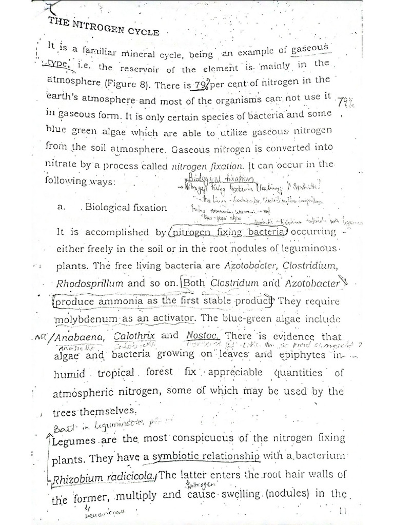 Bio102 Ecological Cycles PDF | PDF