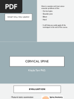 Medbridge Cervical Radiculopathy PT Exercises | PDF | Anatomical Terms ...