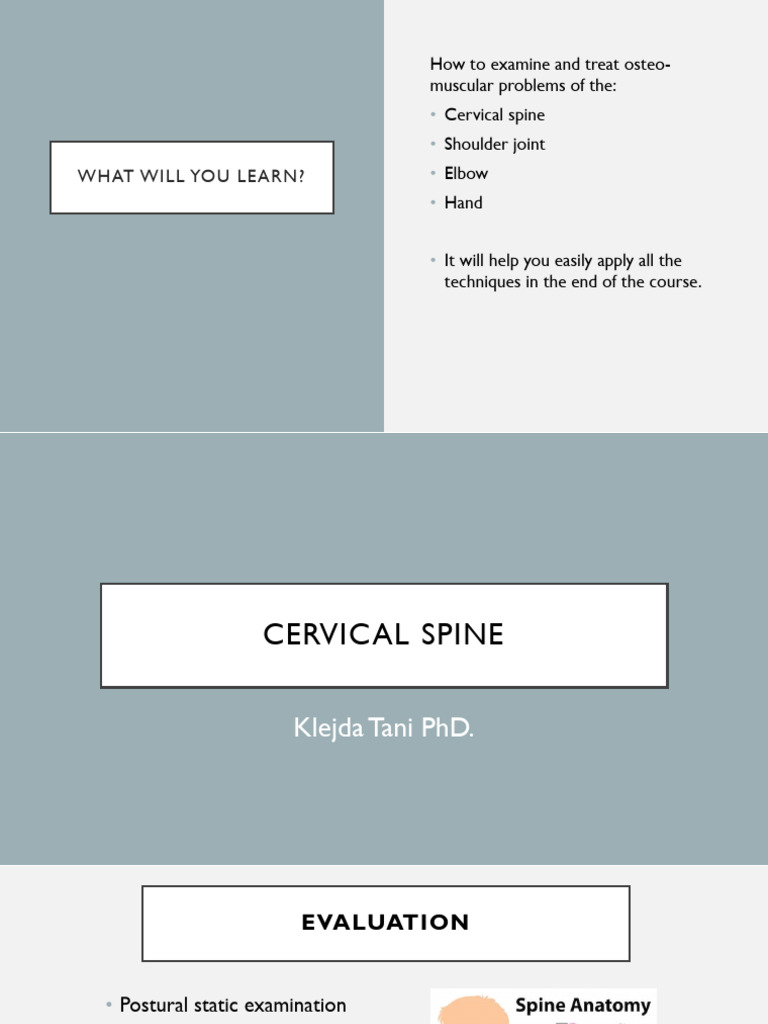 Cervical Spine | PDF | Anatomical Terms Of Motion | Elbow