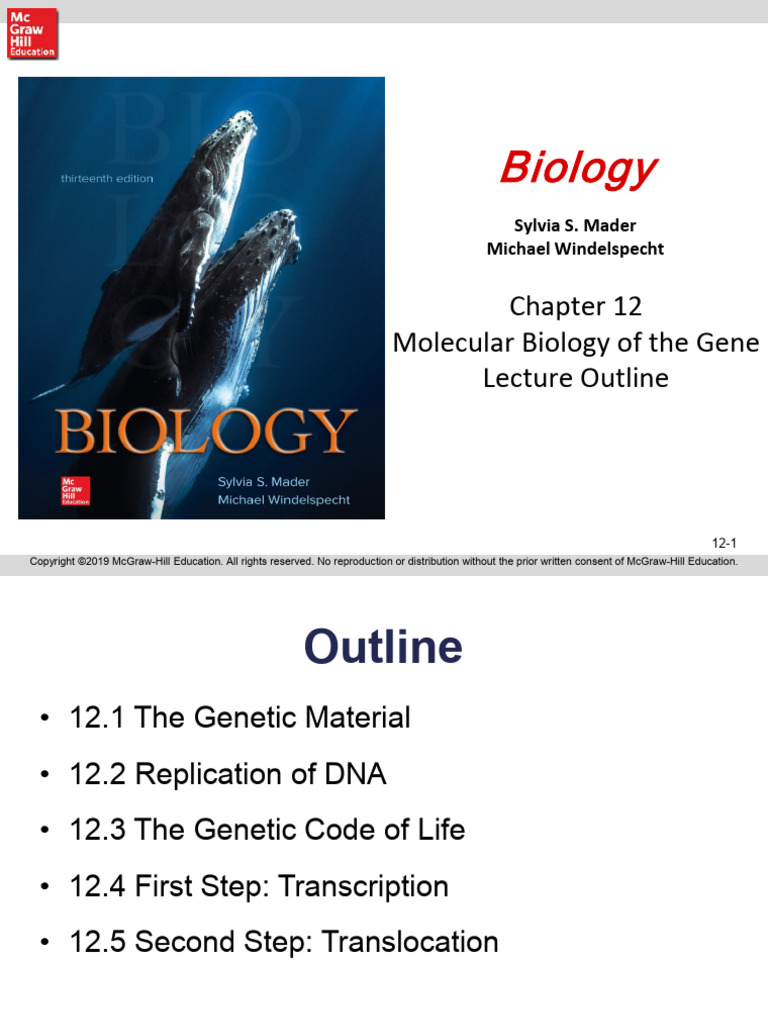 Chapter12 Lecture Ppt-Mader13-Modified | PDF | Translation (Biology) | Ribosome