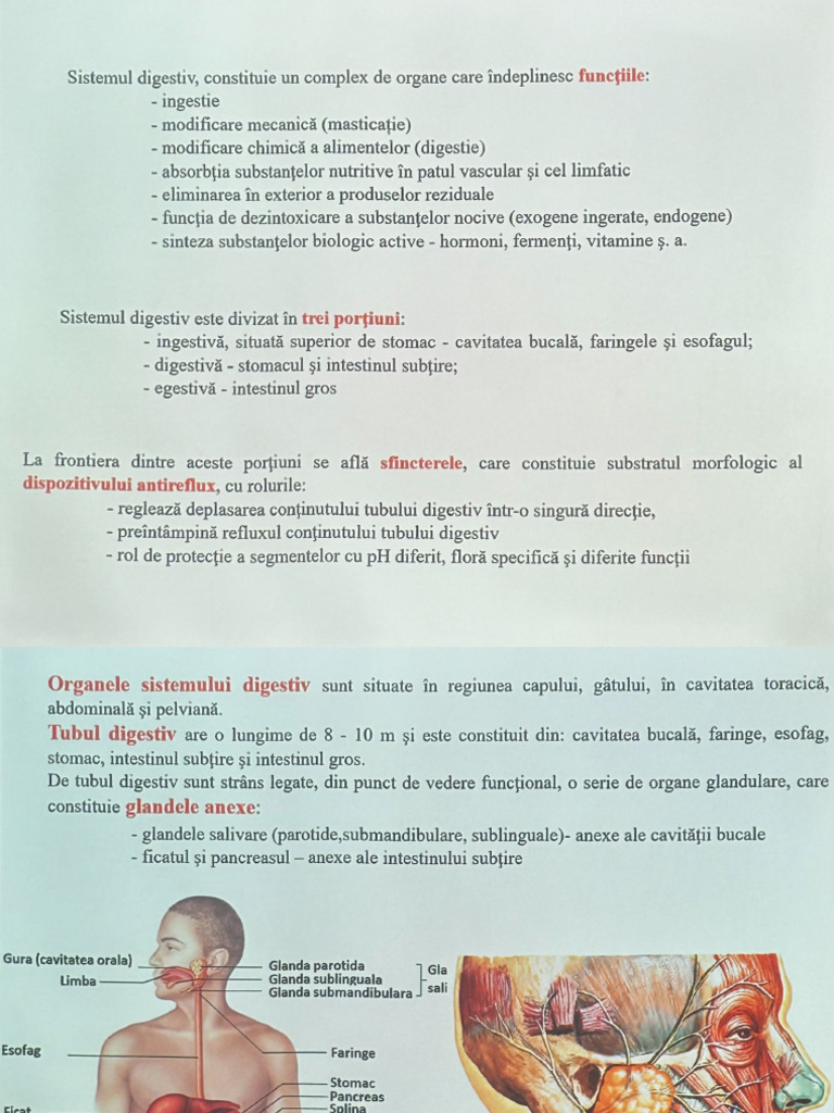 Digestia I | PDF