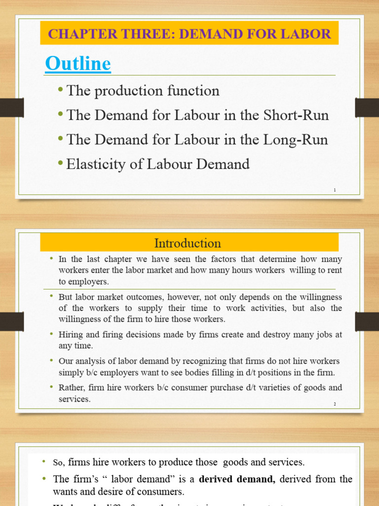 Labor Economics - PPT - CH 3 | PDF | Labour Economics | Demand