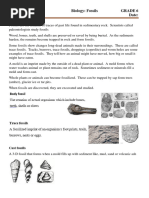 Rock Cycle Test Questions | PDF | Rock (Geology) | Sedimentary Rock