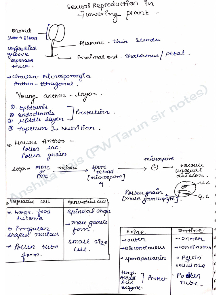 Sexual Repro in Flowering Plants Short Notes | PDF