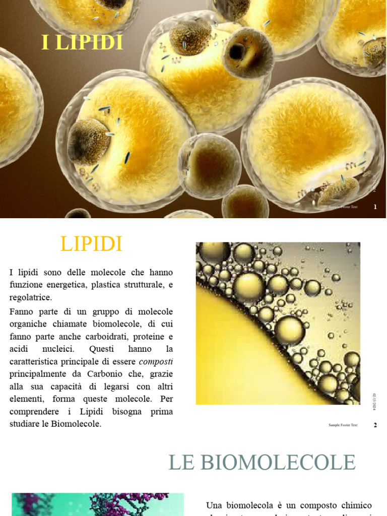 LIPIDI | PDF