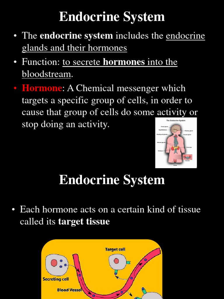 9 - Q2 - Endocrine and Reproductive System | Download Free PDF ...