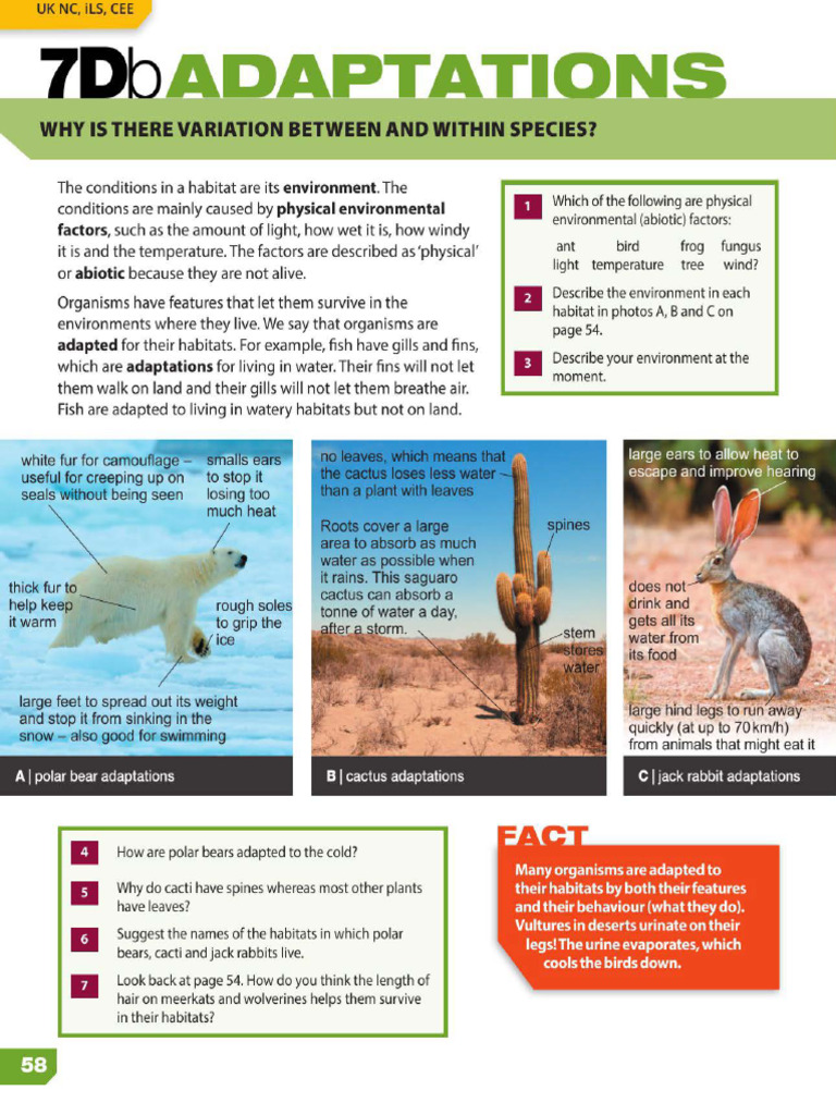 Exploring Science International 11-14 Y7 - Compressed | PDF | Habitat ...