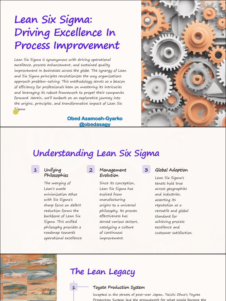 Lean Six Sigma Driving Excellence in Process Improvement | PDF | Lean ...