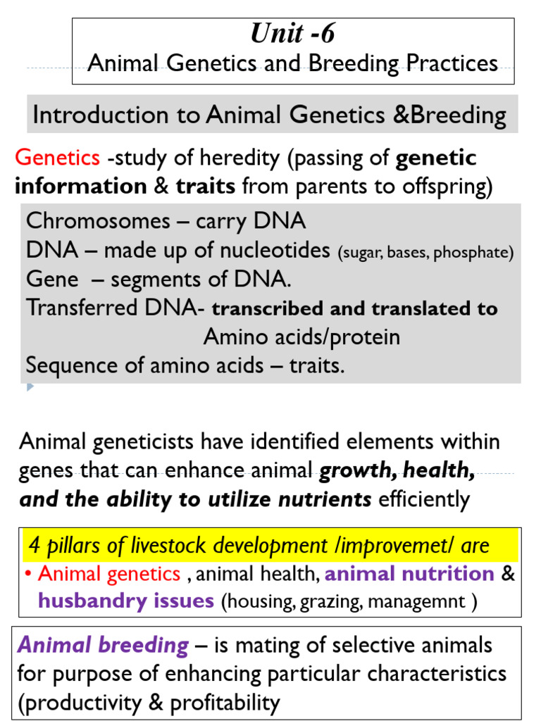 Introduction To Animal Genetics &breeding | PDF | Selective Breeding ...