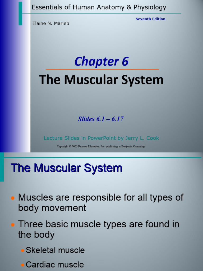 Week 6 Muscular System | PDF | Anatomical Terms Of Motion | Muscle Contraction