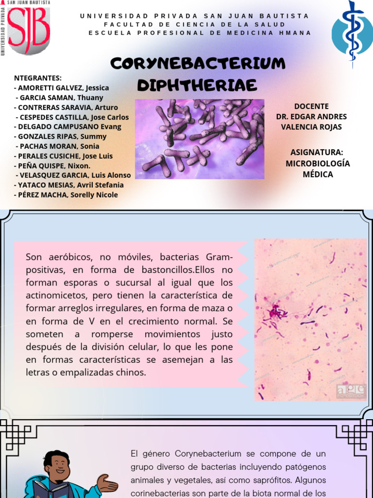 Corynebacterium Diphtheriae | PDF | Causas de la muerte | Medicina CLINICA