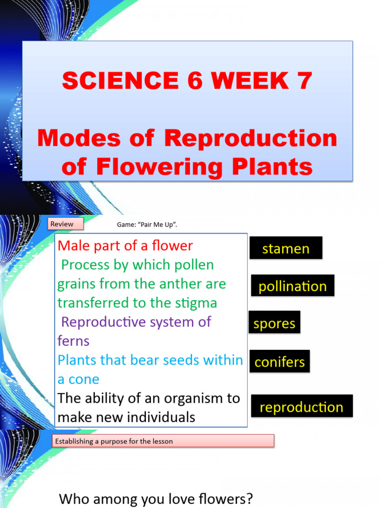 Grade 5 PPT - Science - Q2 - W7 - Day 1-5 | PDF | Flowers | Sexual ...