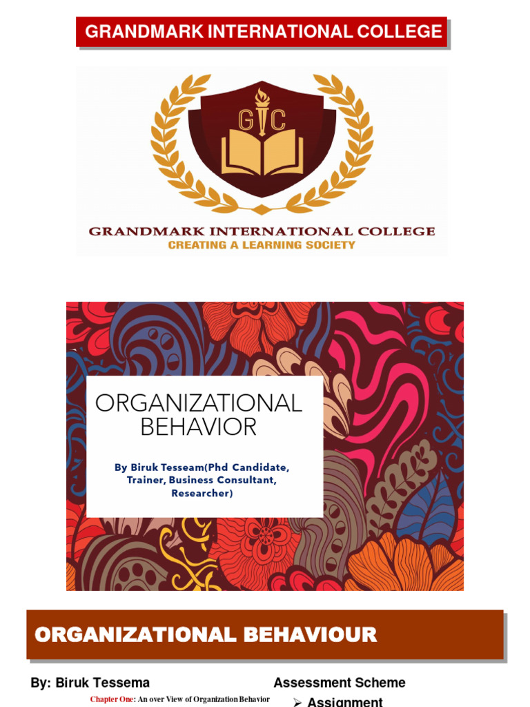 BO Chapter One | PDF | Organizational Behavior | Cognitive Science