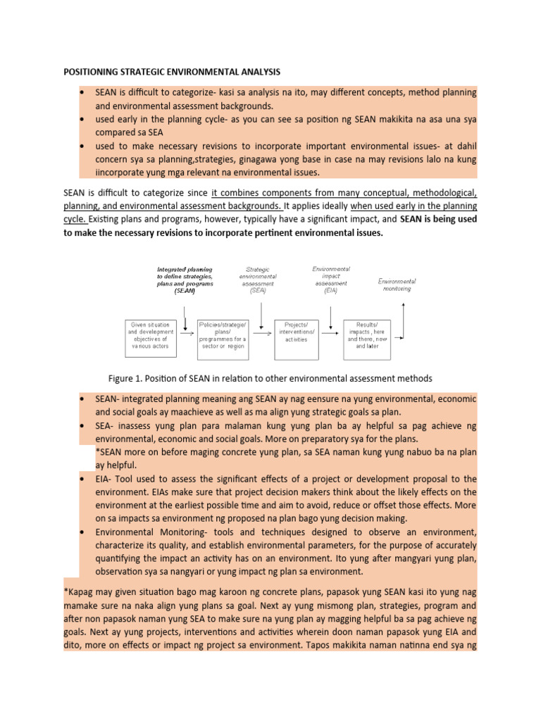 Positioning Strategic Environmental Analysis Report Script | PDF ...