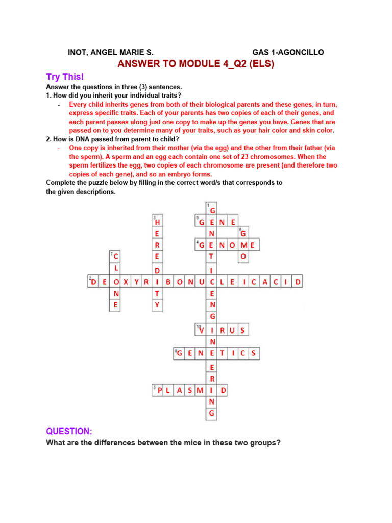 Answer To Module 4 - Q2 (Els) | PDF | Genetic Engineering | Gene