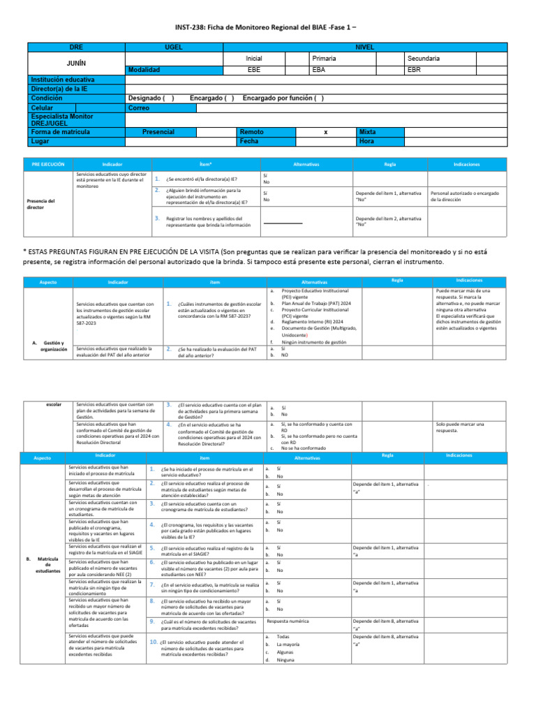 INST-238 Ficha de Monitoreo Regional Del BIAE - Fase 1 - Especialista | PDF