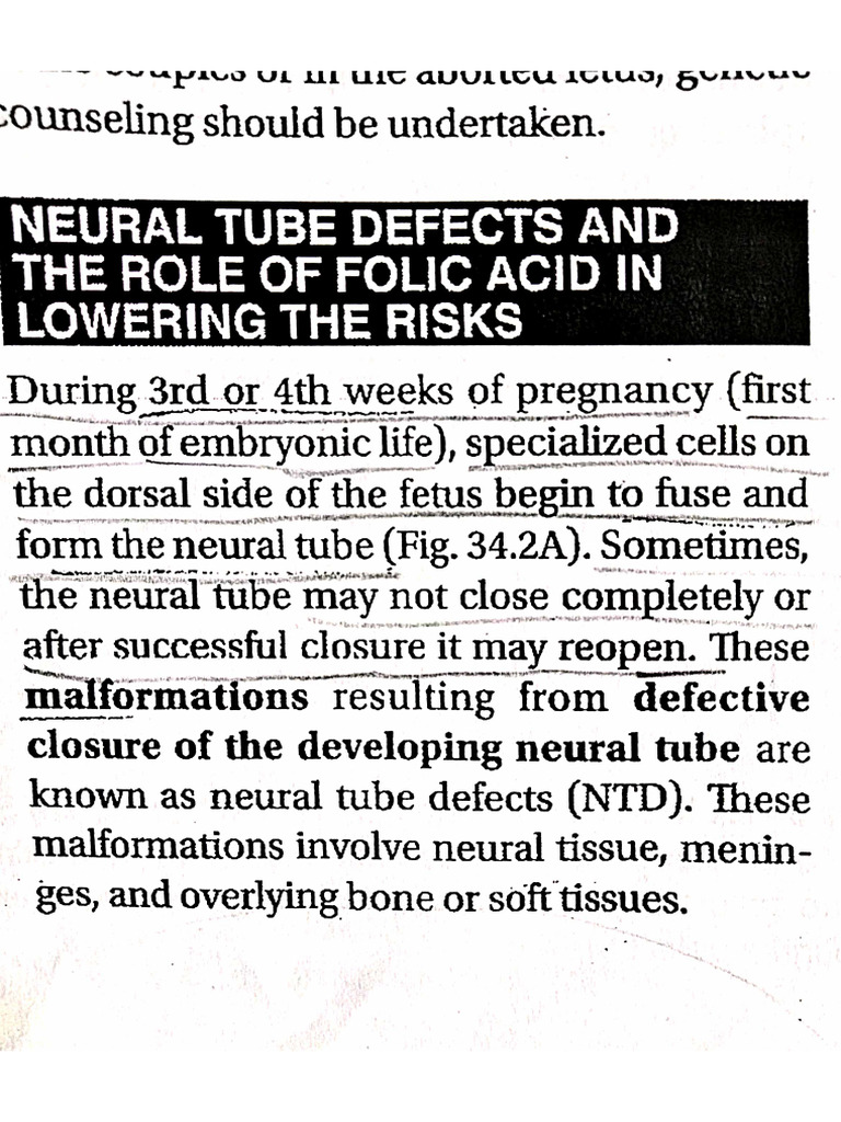 Neural Tube Defect | PDF