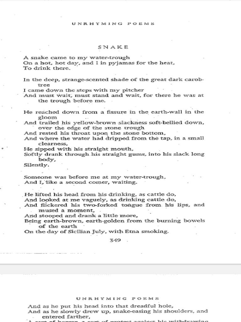 Snake | PDF