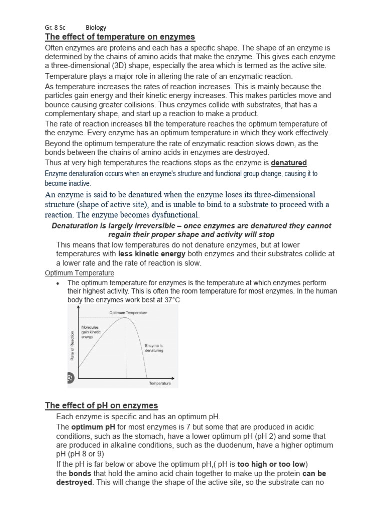 Enzyme Activity: Temperature and pH Effects | PDF | Enzyme ...