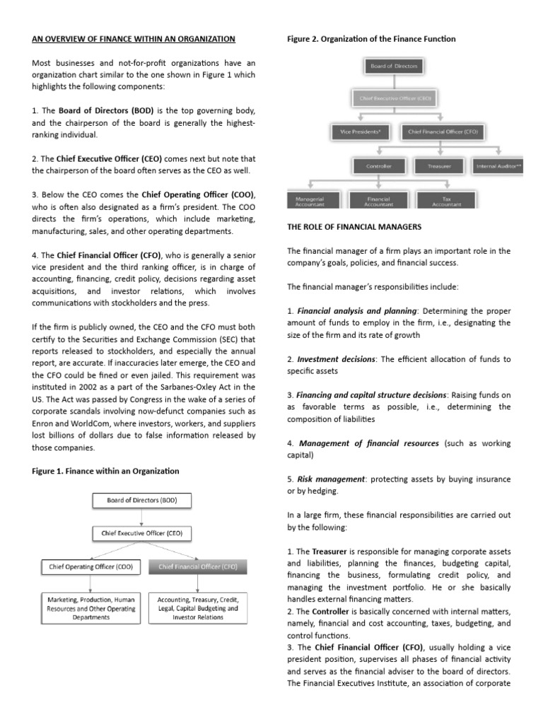 Roles in Financial Management Overview | PDF | Chief Financial Officer ...