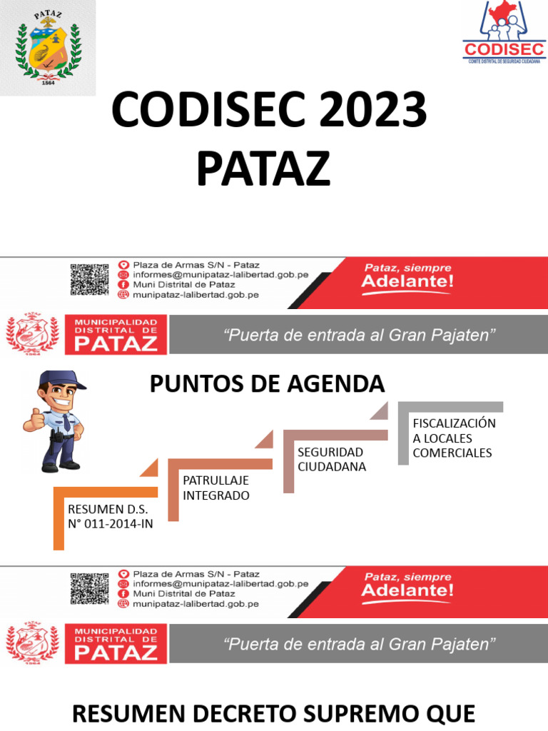 Codisec 2023 Pataz | PDF | La violencia contra las mujeres | Mala conducta