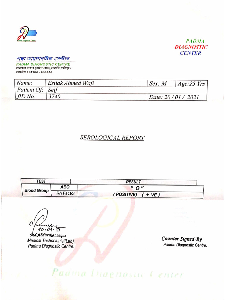 Bload Group | PDF