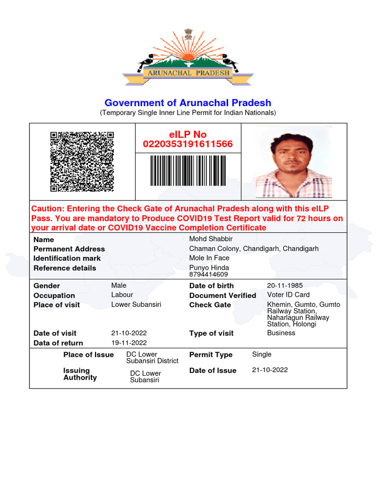 Online Print Permit | PDF | Identity Document | Government