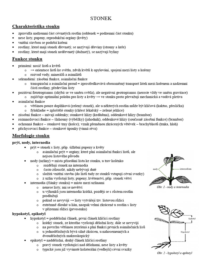 STONEK Final | PDF