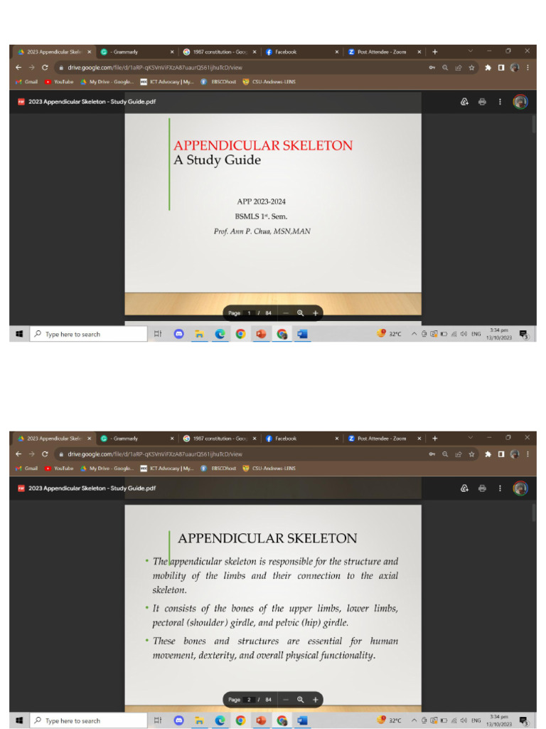 AnaphyAppendicular Skeleton | PDF